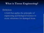 PPT - Tissue Engineering PowerPoint Presentation, free download - ID ...