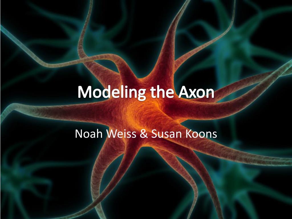 PPT - Modeling the Axon PowerPoint Presentation, free download - ID:6794978