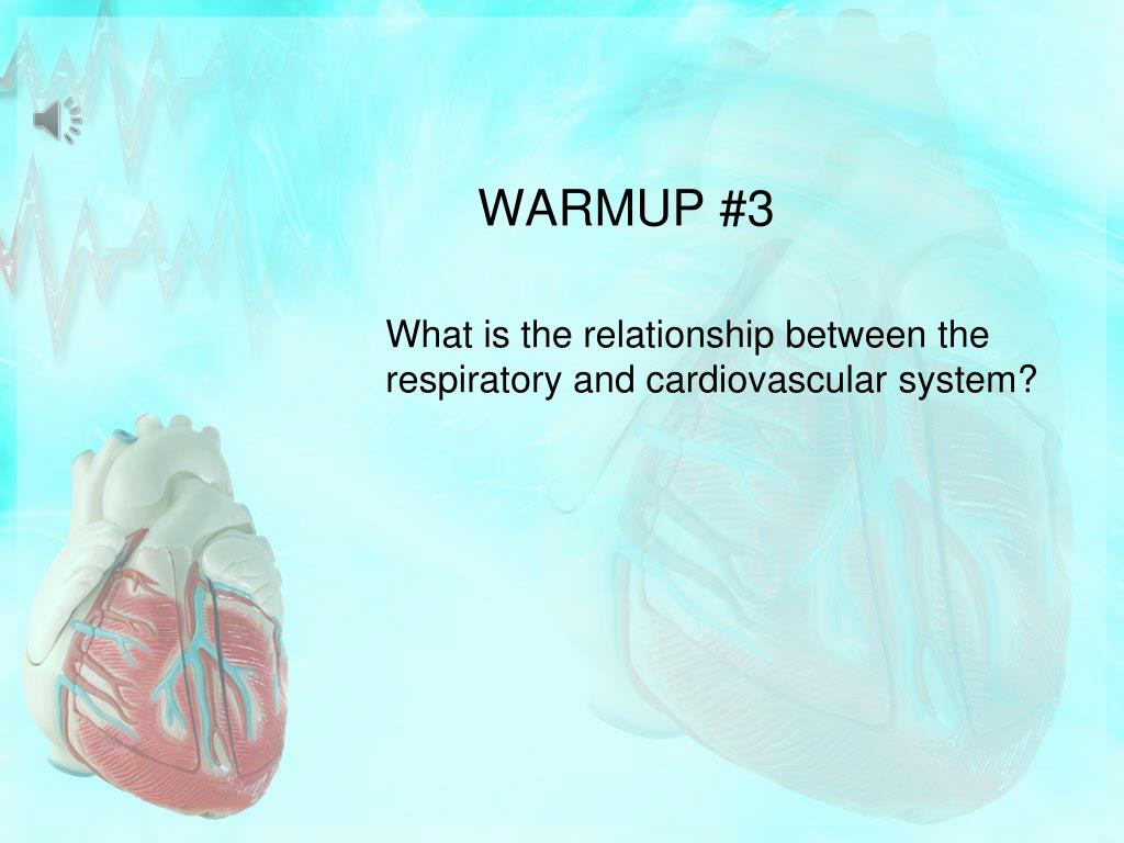 PPT - Understanding the Respiratory and Cardiovascular System ...