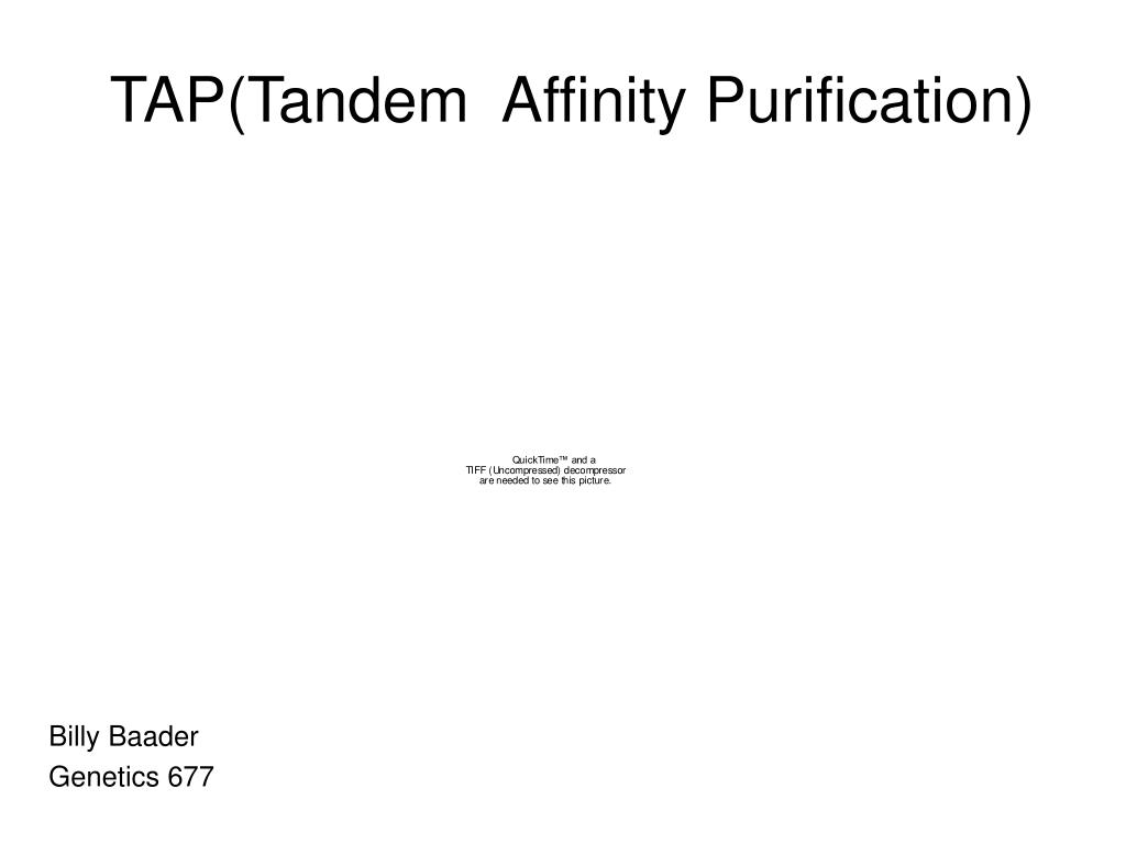 PPT - TAP(Tandem Affinity Purification) PowerPoint Presentation, free ...
