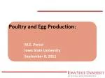 PPT - Poultry Production PowerPoint Presentation, free download - ID ...