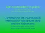 PPT - Rh Incompatibility PowerPoint Presentation, free download - ID:391351