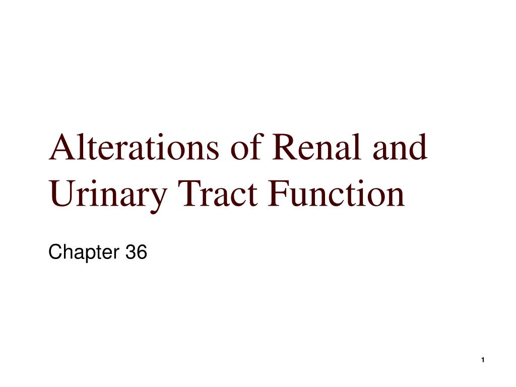 PPT - Alterations of Renal and Urinary Tract Function PowerPoint ...