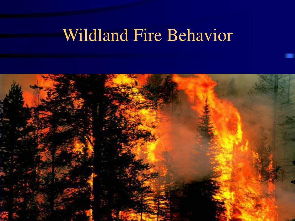 PPT - Wildland Fire Behavior PowerPoint Presentation, free download ...