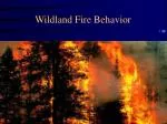 PPT - Fire Behavior PowerPoint Presentation, free download - ID:317412