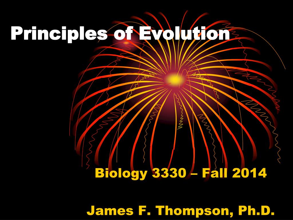 PPT - Principles of Evolution PowerPoint Presentation, free download ...