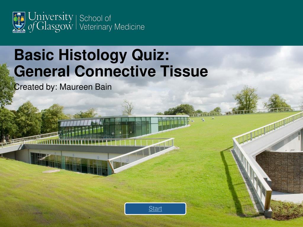 PPT - Basic Histology Quiz: General Connective Tissue PowerPoint ...