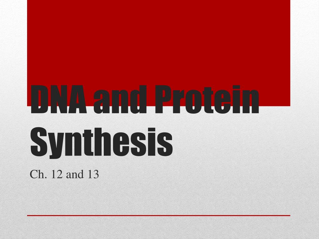 PPT - Mastering DNA and Protein Synthesis: A Comprehensive Review ...