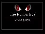 PPT - The Human Eye PowerPoint Presentation, free download - ID:2109480