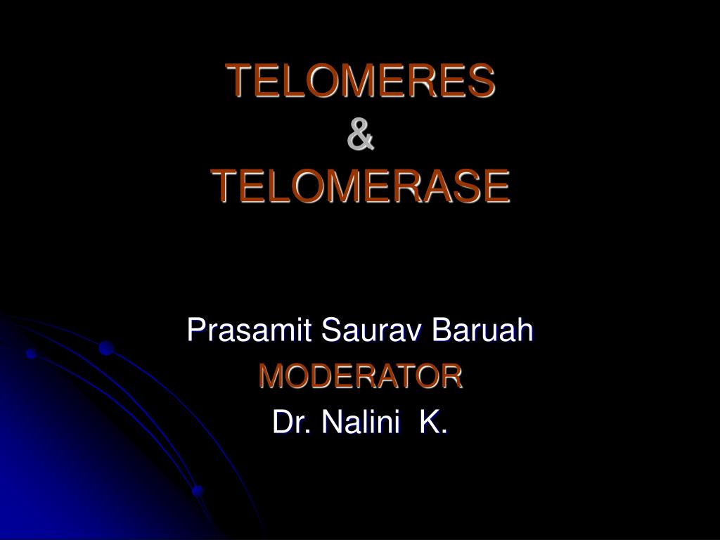 PPT - TELOMERES & TELOMERASE PowerPoint Presentation, free download ...