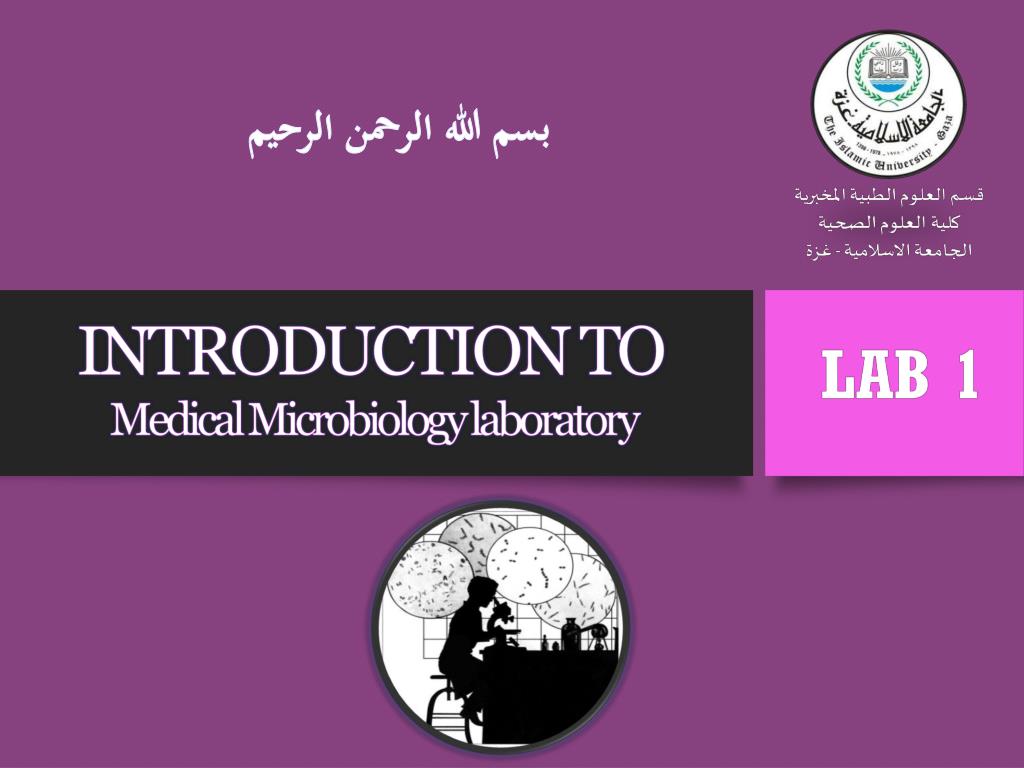 PPT - Introduction to Medical Microbiology laboratory PowerPoint ...