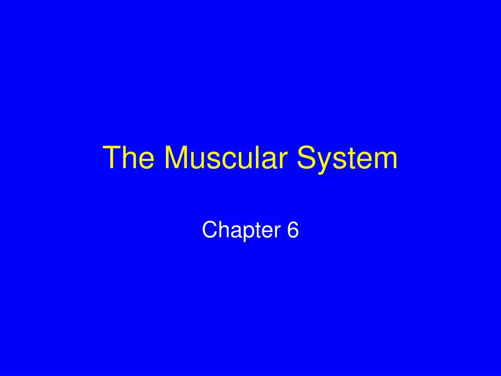 PPT - The Muscular System PowerPoint Presentation, free download - ID ...