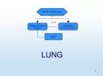 PPT - Lung Anatomy PowerPoint Presentation, free download - ID:1921812