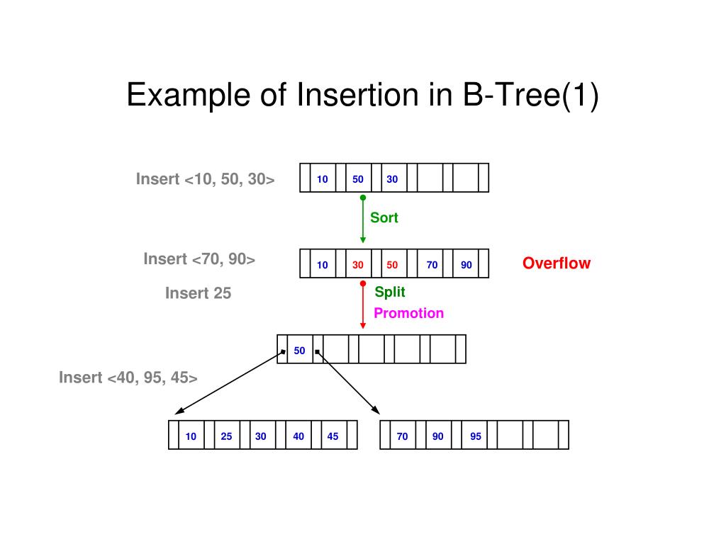PPT - Example of Insertion in B-Tree(1) PowerPoint Presentation, free download - ID:6814878