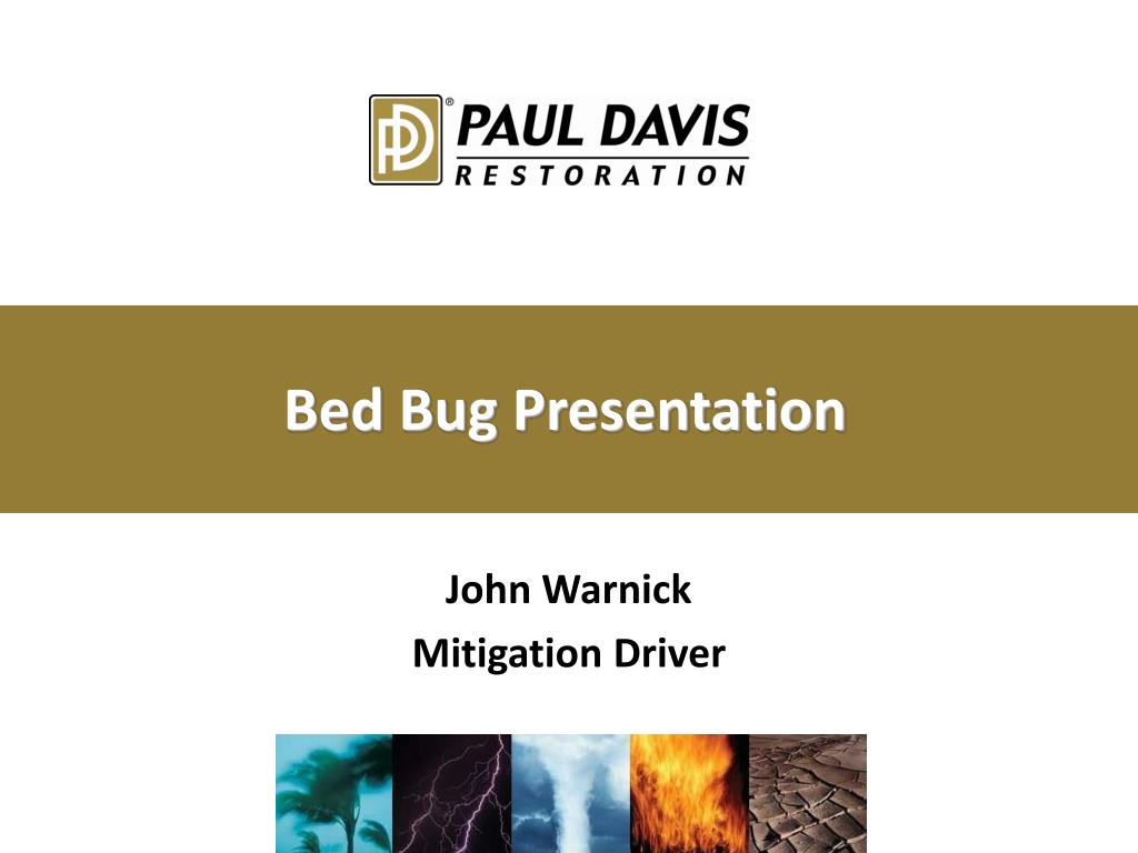 PPT - Bed Bug Presentation PowerPoint Presentation, free download - ID ...
