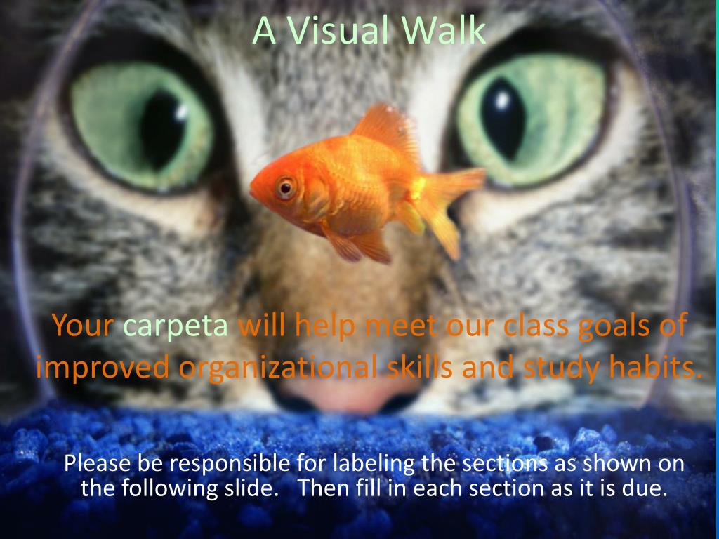 PPT - Visual Organizational Tool for Improved Study Skills PowerPoint ...