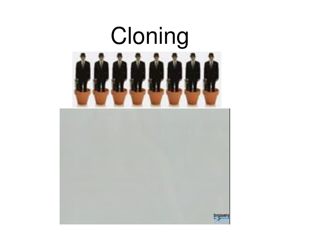 PPT - Cloning PowerPoint Presentation, free download - ID:6822223