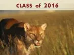 PPT - The class of 2016 PowerPoint Presentation, free download - ID:7350182