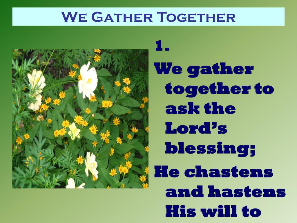 PPT - We Gather Together PowerPoint Presentation, free download - ID ...