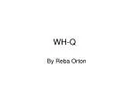 PPT - Wh-Question PowerPoint Presentation, free download - ID:4836265