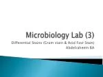 PPT - Microbiology Unknown Lab PowerPoint Presentation, free download ...