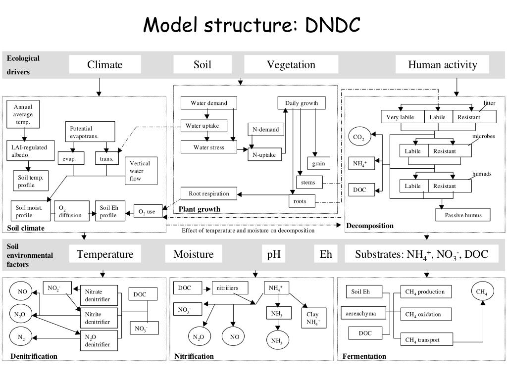 PPT - Model structure: DNDC PowerPoint Presentation, free download - ID ...
