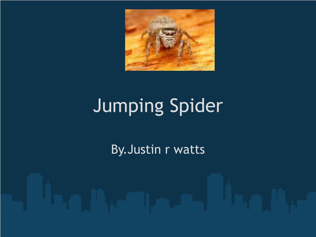 PPT - Jumping Spider PowerPoint Presentation, free download - ID:6827589