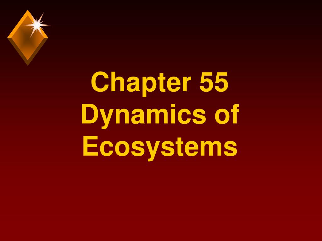 PPT - Chapter 55 Dynamics of Ecosystems PowerPoint Presentation, free ...
