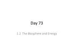 PPT - Chapter 73 PowerPoint Presentation, free download - ID:4948884