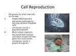 PPT - Cell Reproduction PowerPoint Presentation, free download - ID:2227534