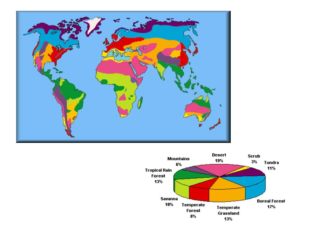 PPT - terrestrial biomes PowerPoint Presentation, free download - ID ...