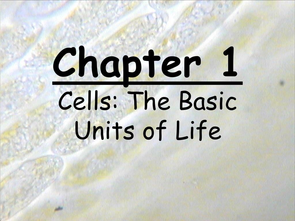 PPT - Chapter 1 Cells: The Basic Units of Life PowerPoint Presentation ...