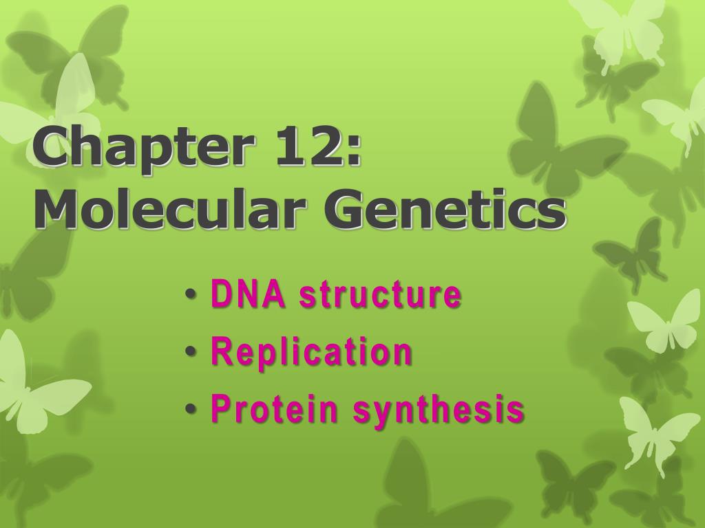 PPT - Chapter 12: Molecular Genetics PowerPoint Presentation, free ...
