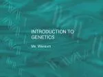 PPT - Introduction to Genetics PowerPoint Presentation, free download ...