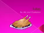 PPT - Turkey fireball PowerPoint Presentation, free download - ID:7445903