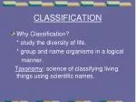 PPT - CLASSIFICATION PowerPoint Presentation, free download - ID:1223974