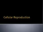 PPT - Cellular Reproduction PowerPoint Presentation, free download - ID:1457909