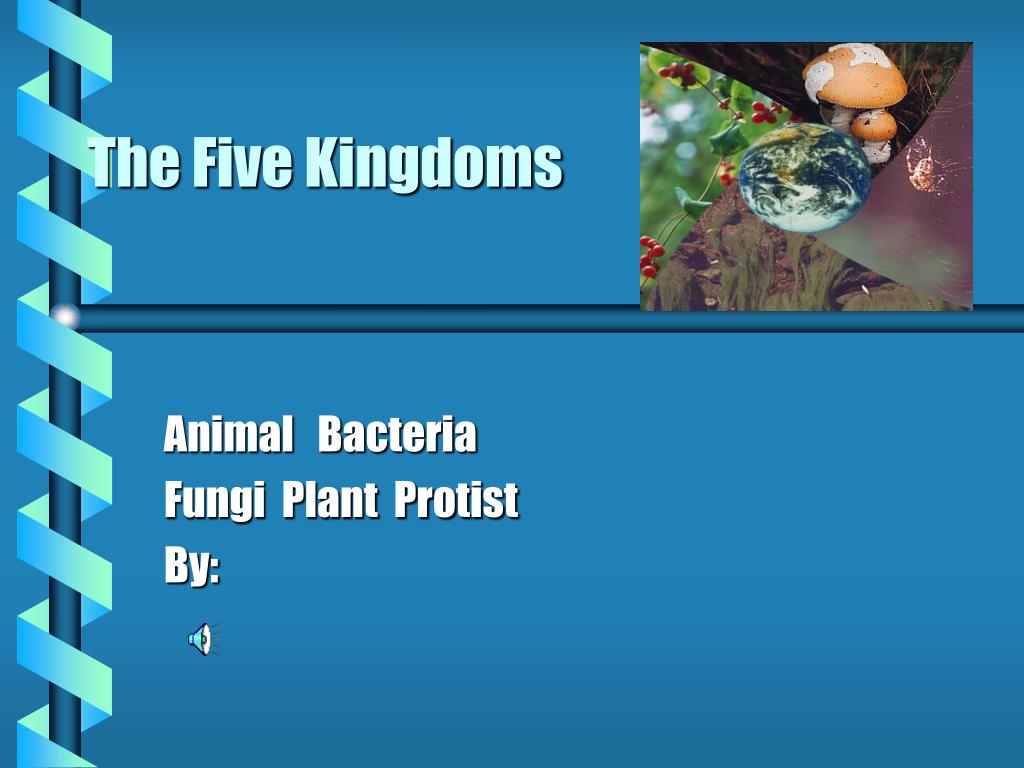 PPT - The Five Kingdoms PowerPoint Presentation, free download - ID:6844216