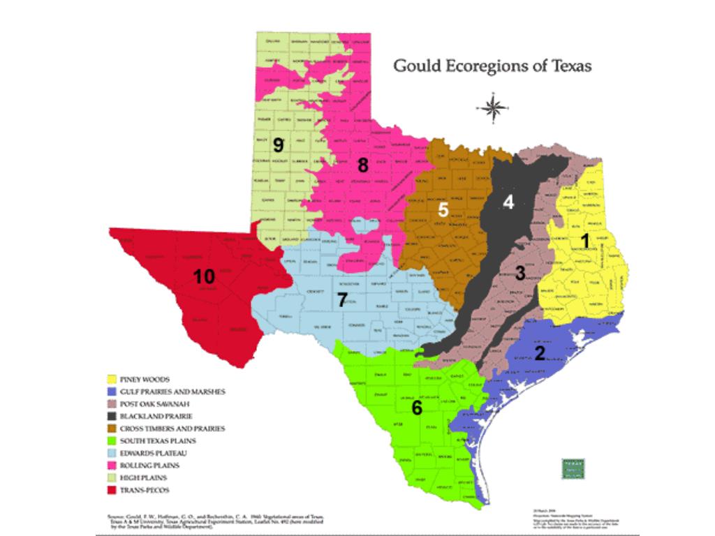 PPT - Texas Ecoregion Map PowerPoint Presentation, free download - ID ...