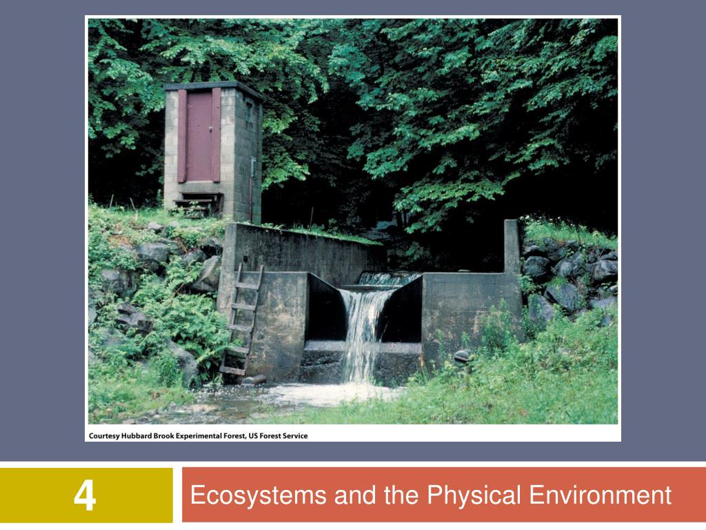 PPT - Ecosystems and the Physical Environment PowerPoint Presentation ...