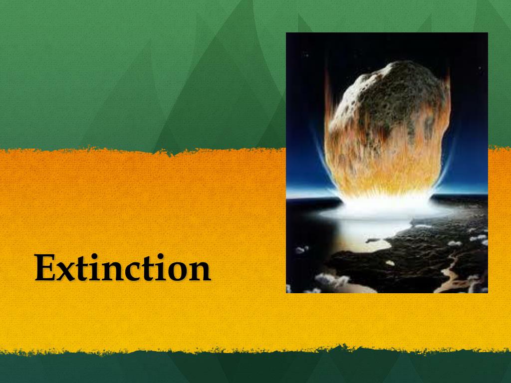 PPT - Extinction PowerPoint Presentation, free download - ID:6845475