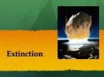 PPT - The partial reinforcement extinction effect (PREE) PowerPoint ...