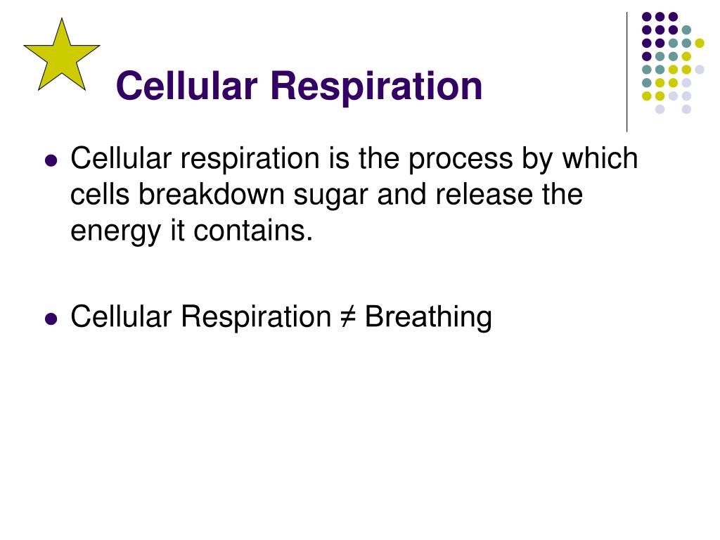 PPT - Cellular Respiration PowerPoint Presentation, free download - ID ...