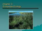 PPT - Chapter 3 Ecosystem Disturbances PowerPoint Presentation, free download - ID:2872392