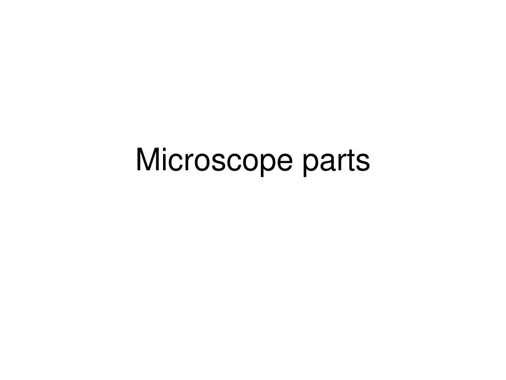 PPT - Microscope parts PowerPoint Presentation, free download - ID:6848024