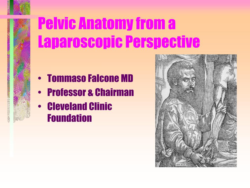 PPT - Pelvic Anatomy from a Laparoscopic Perspective PowerPoint ...