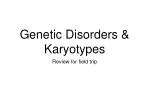 PPT - karyotypes and genetic disorders PowerPoint Presentation, free ...