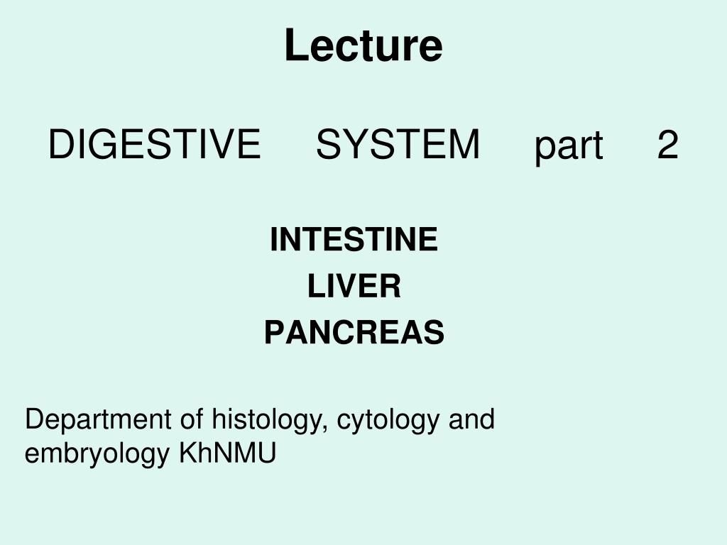 PPT - Lecture DIGESTIVE SYSTEM part 2 PowerPoint Presentation, free ...