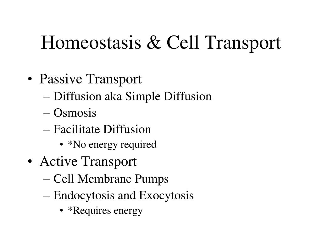 PPT - Homeostasis & Cell Transport PowerPoint Presentation, free ...