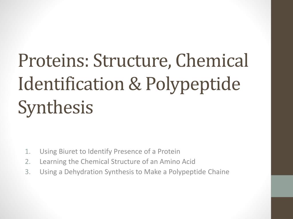 PPT - Proteins: Structure, Chemical Identification & Polypeptide ...